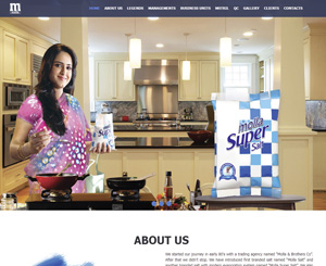 Portfolio - Access InfoTech Ltd. - Specialized in Web Development ...